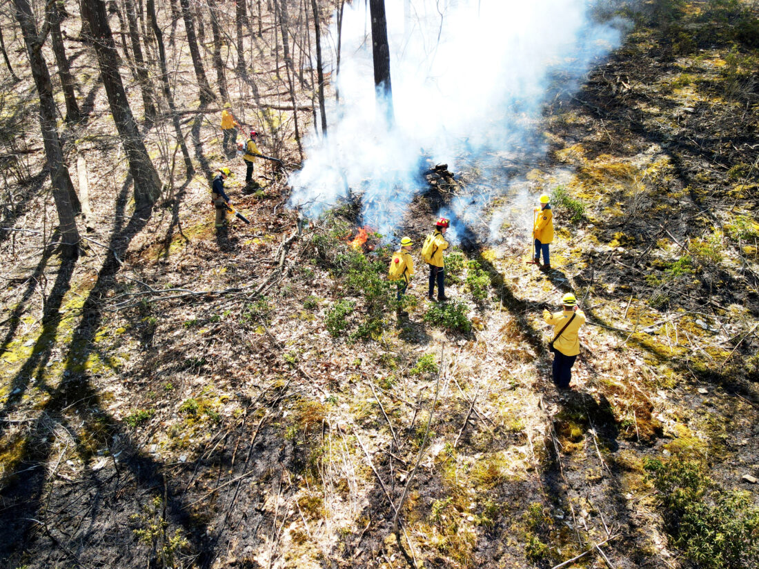 Brush fires on the rise | News, Sports, Jobs - Altoona Mirror